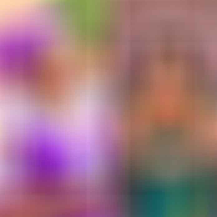 Malawi’s leading women champions unite to combat gender-based violence ...